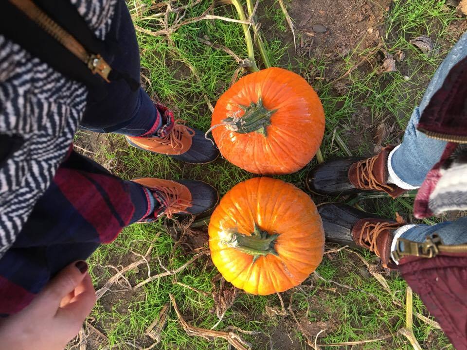 Be Positive Be Preppy : Pumpkin Patch