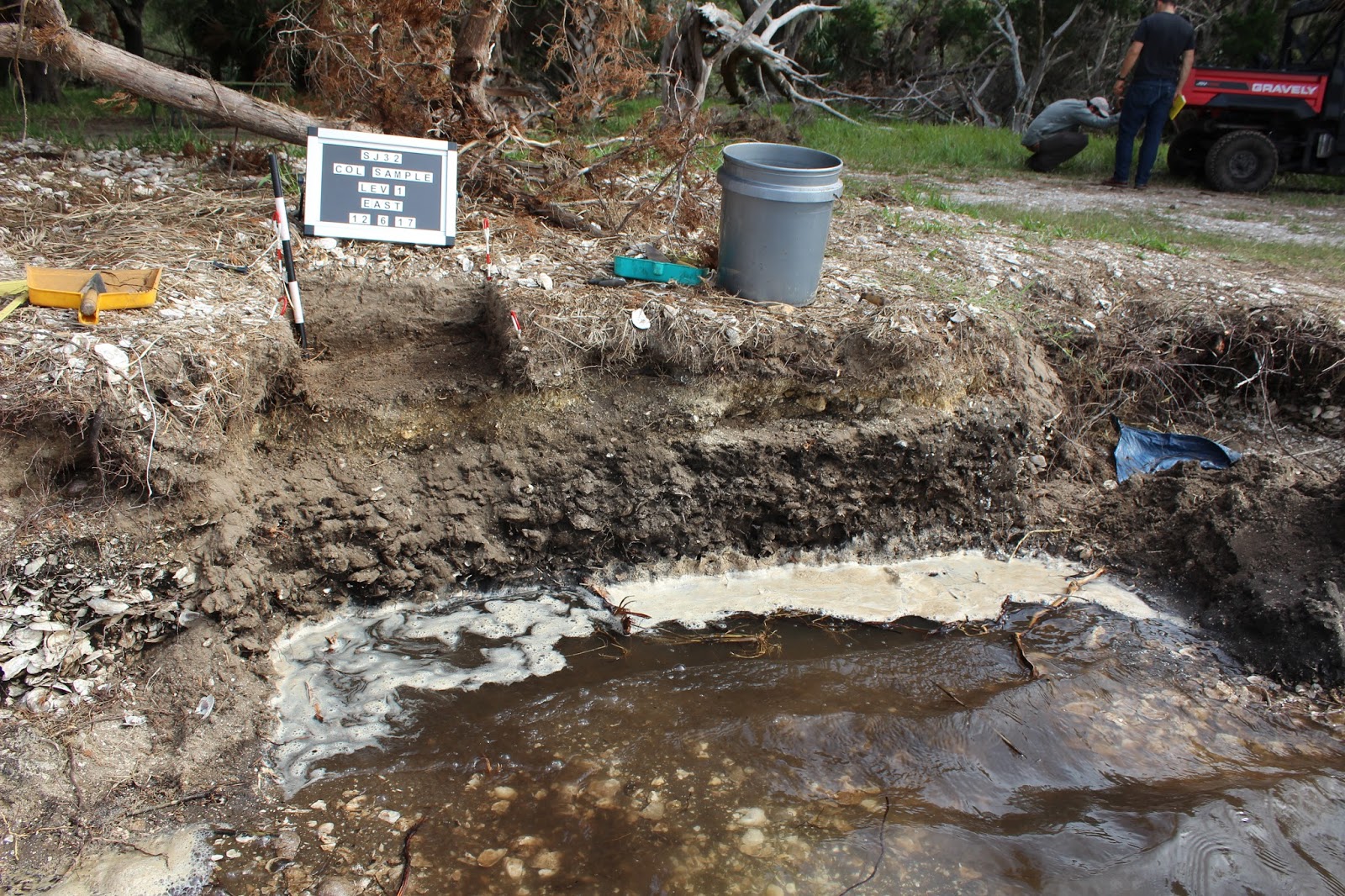 Updates from Monitoring at Shell Bluff Landing