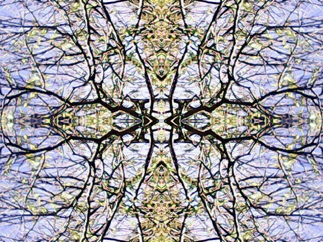 symmetrical angel: Tronos ou Ofanins