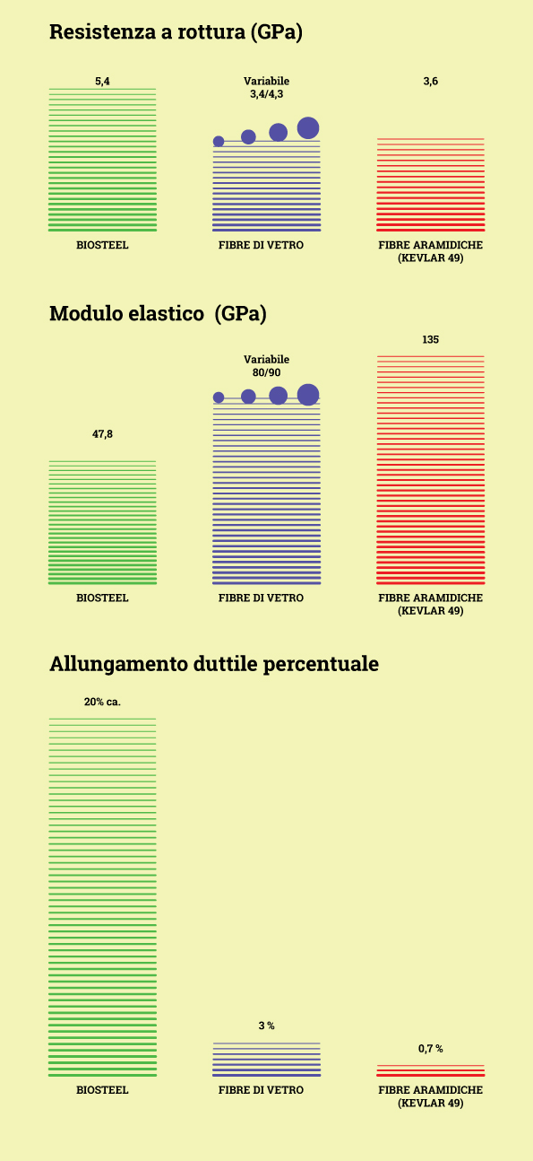 4.3 I GRAFICI DELLA RAGNATELA ARTIFICIALE