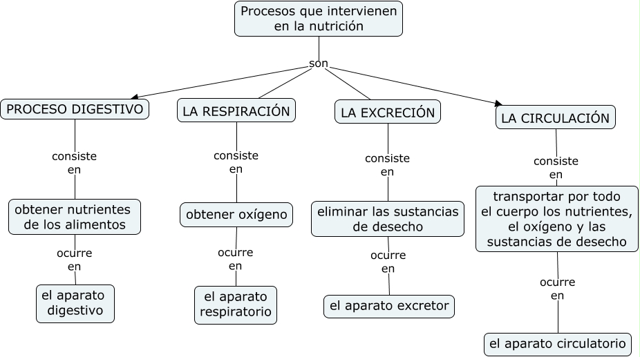"Los sistemas de nutrición": "LOS SISTEMAS QUE INTERVIENEN EN LA ...