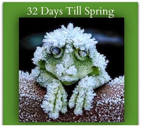 Salisbury News: 32 Days Till Spring