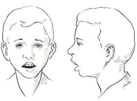 Como mejorar nuestras vidas y la de las próximas generaciones