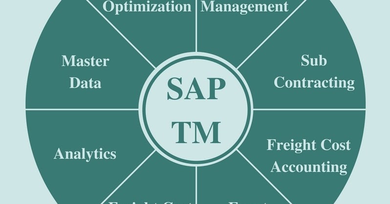 SAP TM Training Material: Introduction of SAP TM