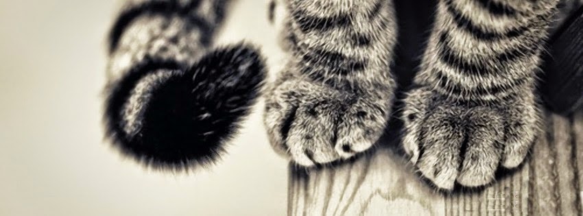 #3 Borítóképek - Borítóképek