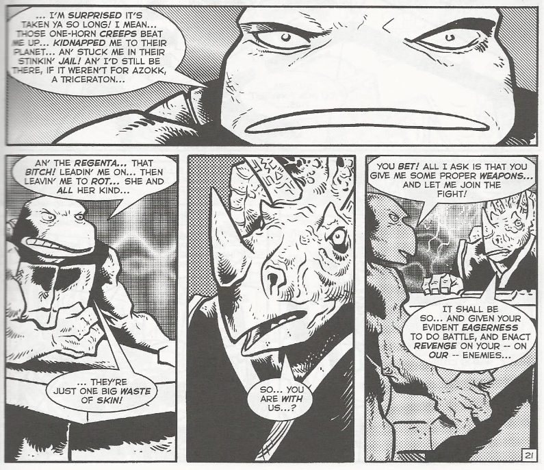 TMNT Entity: TMNT (Vol. 4) #30