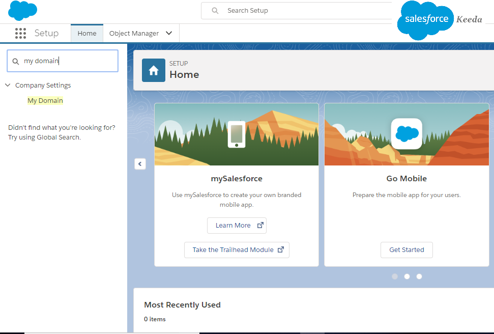 How To Use Salesforce custom domain [ best way in 5 step ...