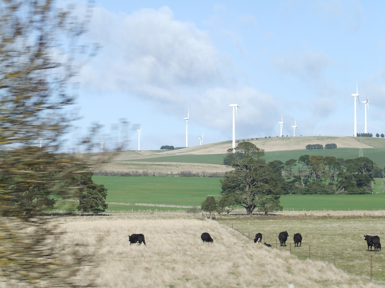 Waubra Wind Farm - The Greening of Gavin