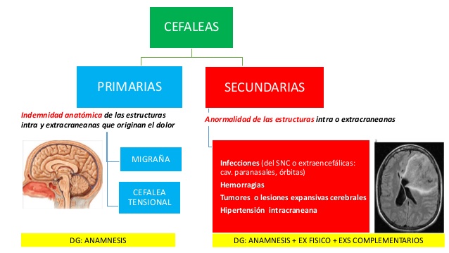 CEFALEAS: Clasificación II