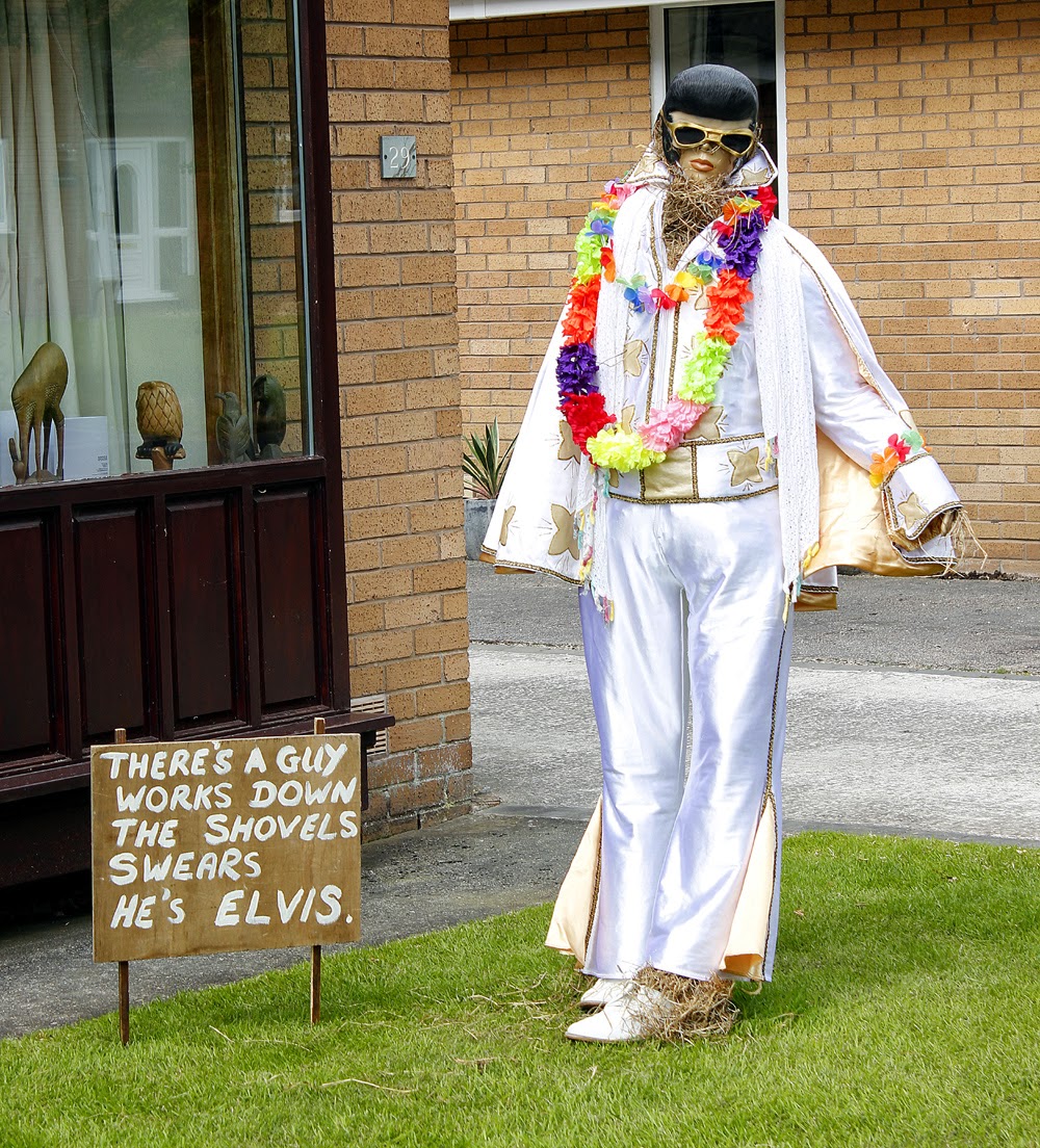 Another Bird Blog: The King Is Back