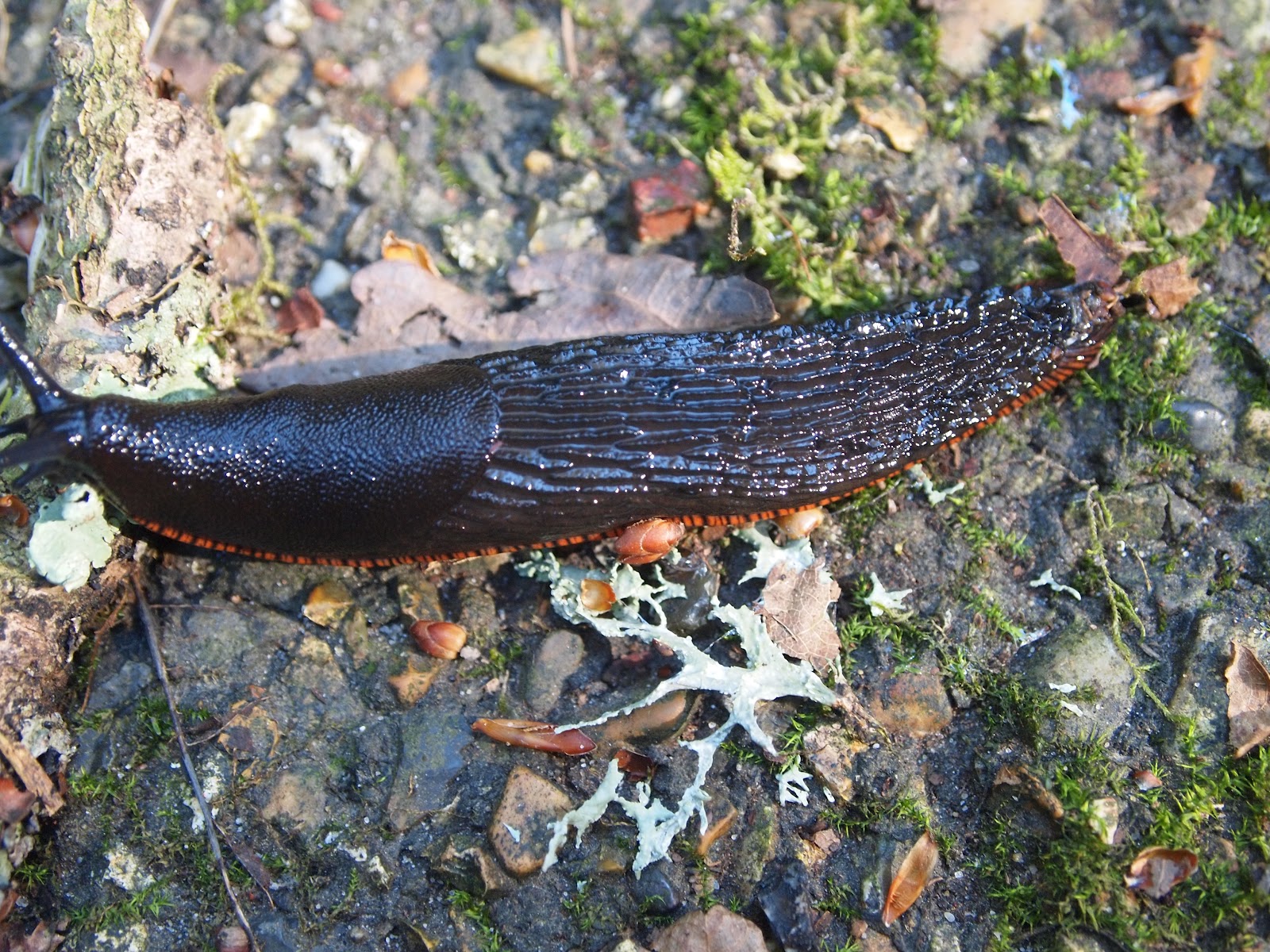 Notes from the Slushpile: The Book of Letting Go