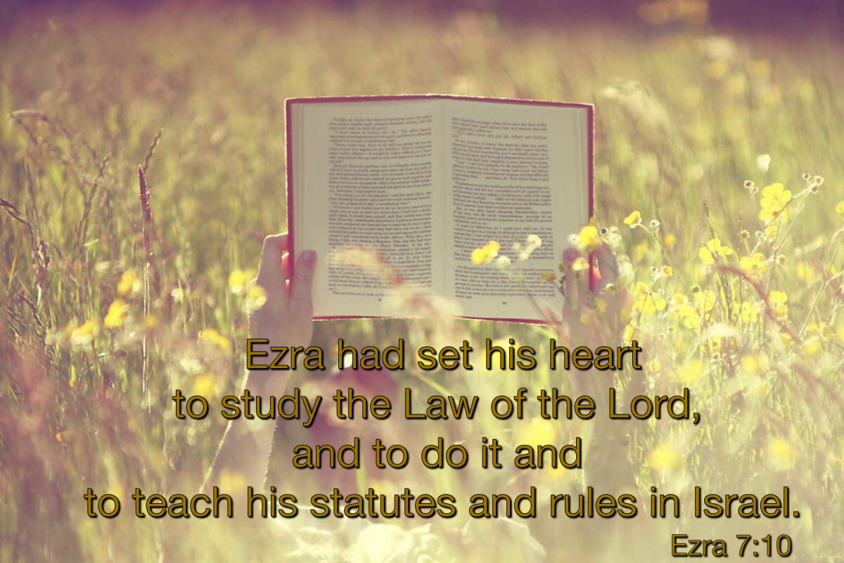 The First Steps to Revival {Ezra 7-10} - Women in the Word