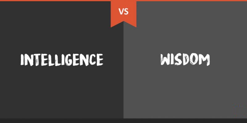 Welcome To Shine Your Eye Blog: Profound Differences Between INTELLIGENCE and WISDOM
