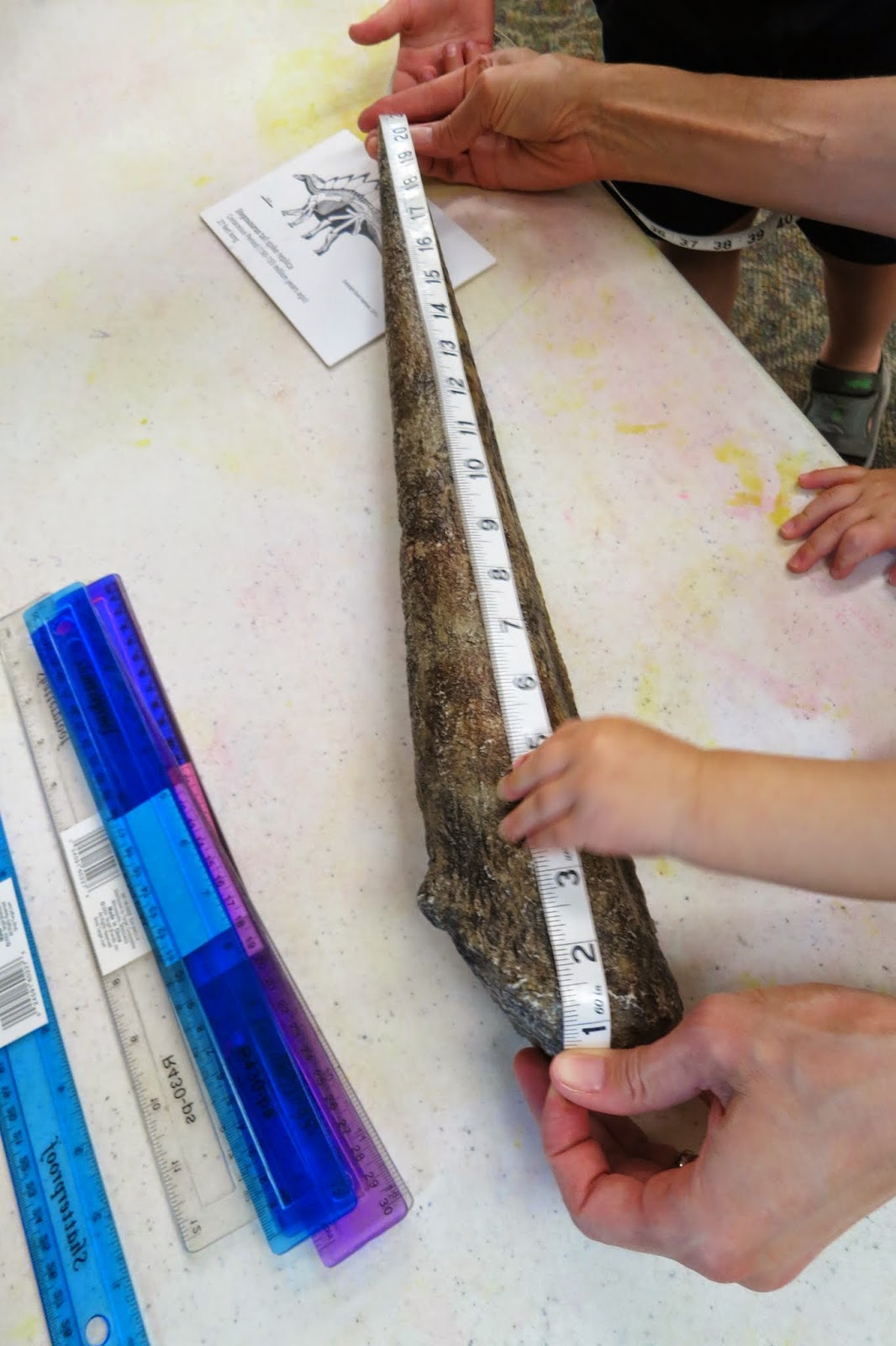 WonderWorks: Measuring Size (Math) : library makers