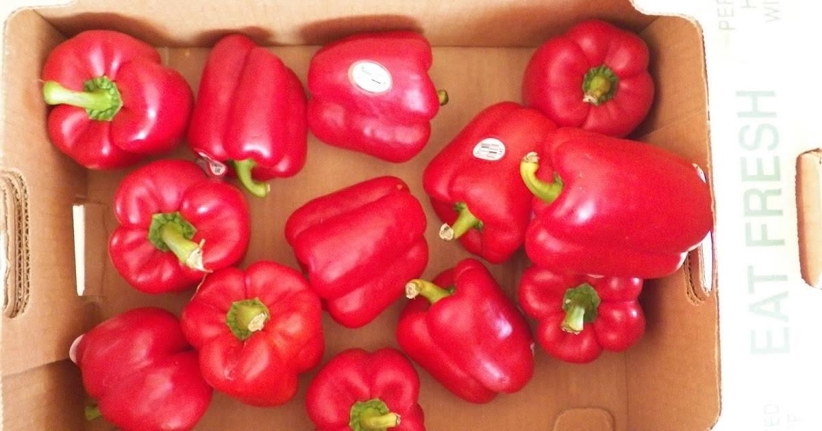 Processing Red Peppers - Sid's Sea Palm Cooking