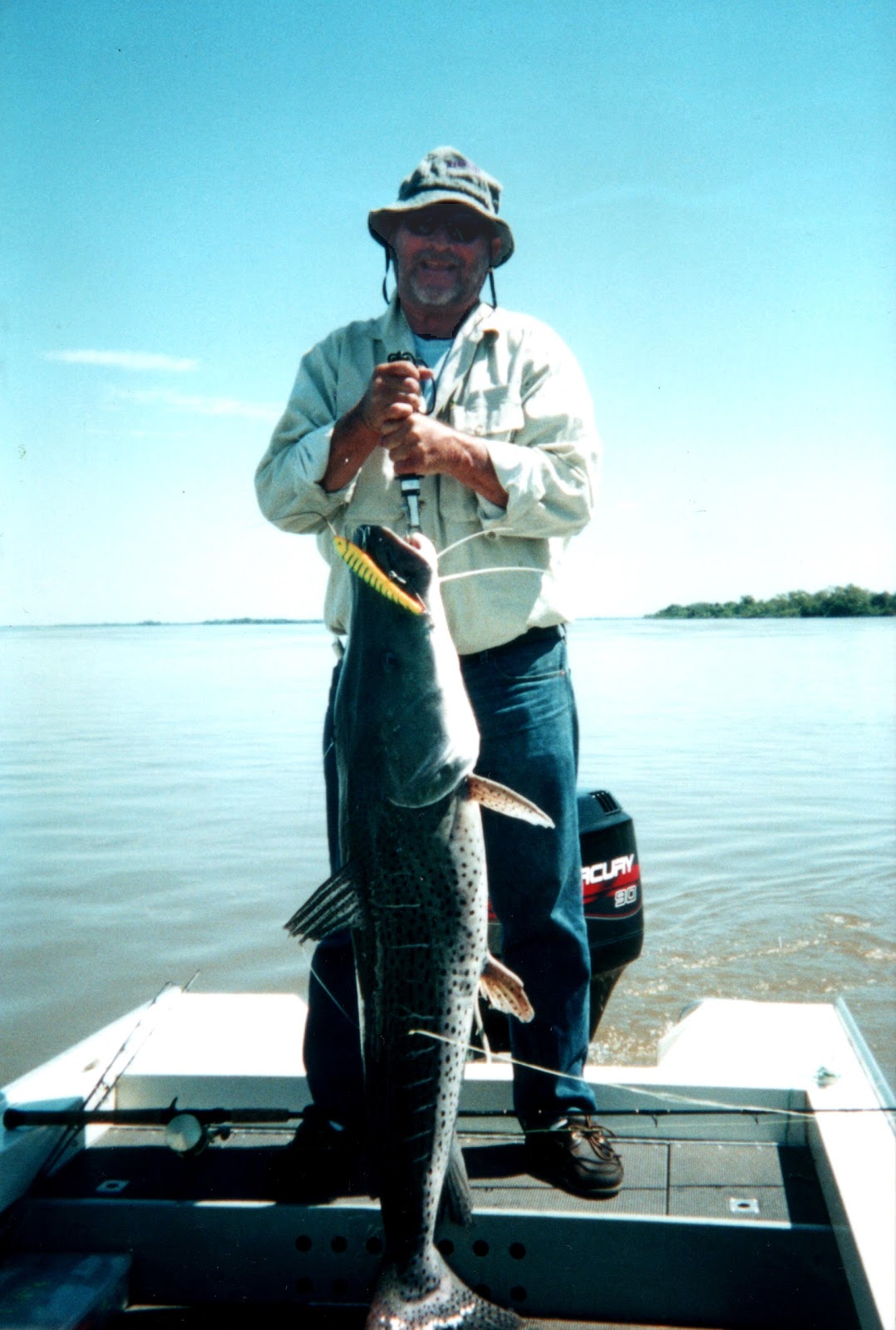 Big Fishes of the World: CATFISH SORUBIM SPOTTED (Pseudoplatystoma ...