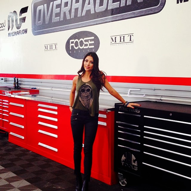 Babes of MMA: Arianny Celeste is Taking Over