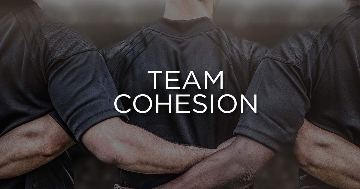 Steps to take to develop a cohesive team