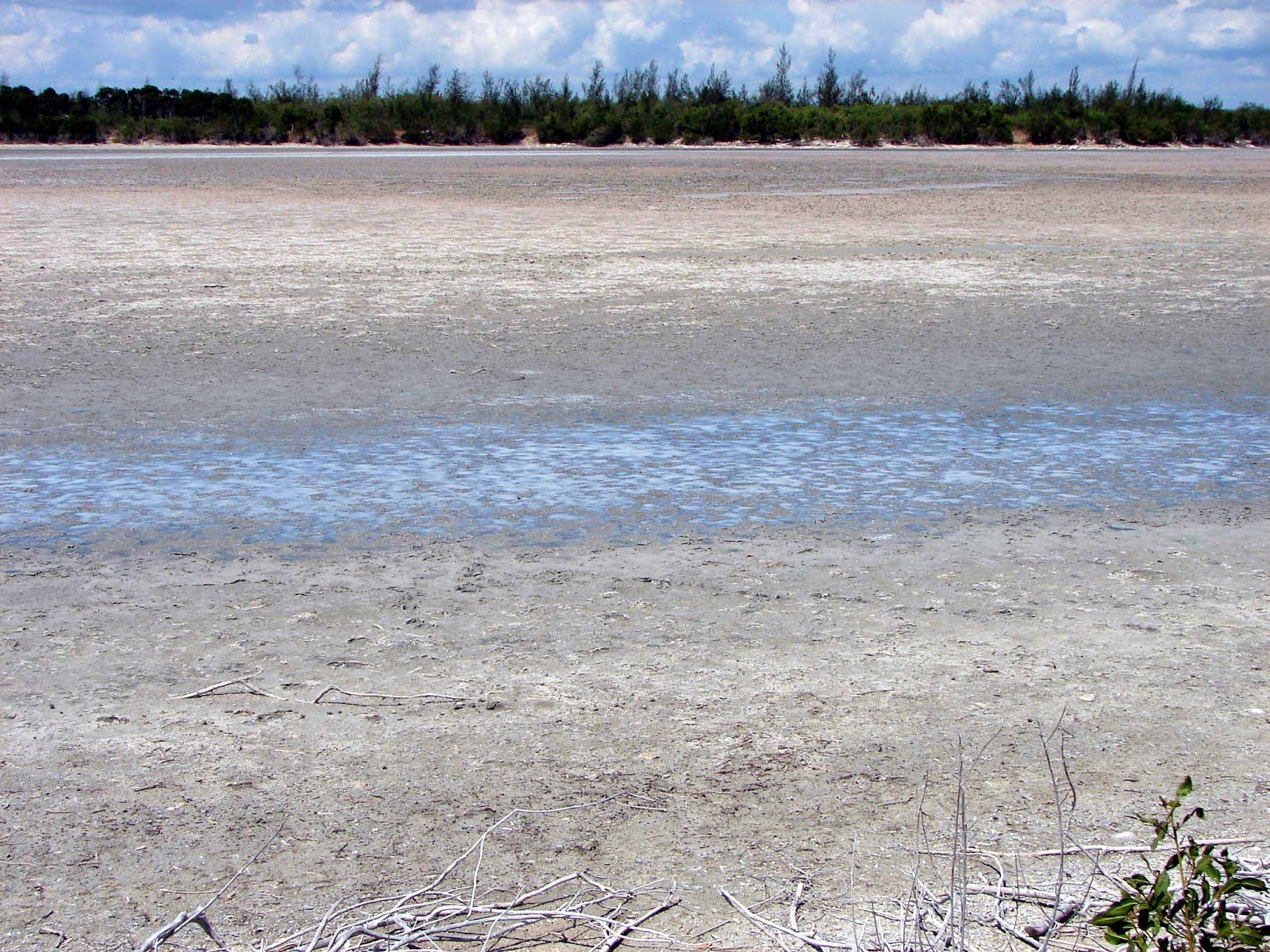 ALDEA COTIDIANA: Sal en Cuba colonial. Las salinas de Nipe