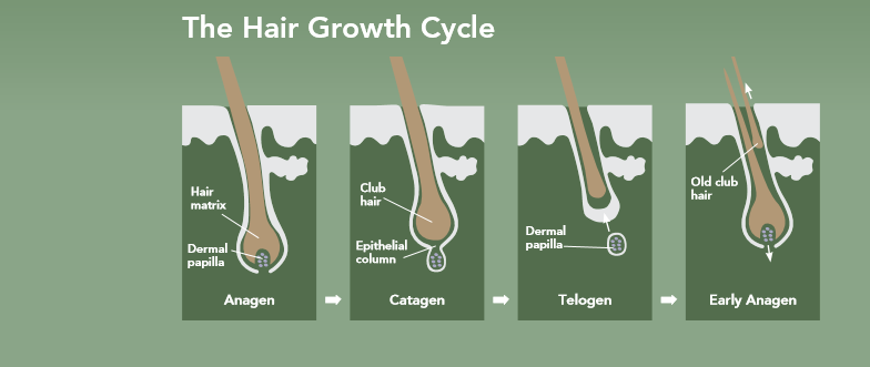 ANAGAIN NU HAIR REGROWTH: Anagain NU Hair Regrowth