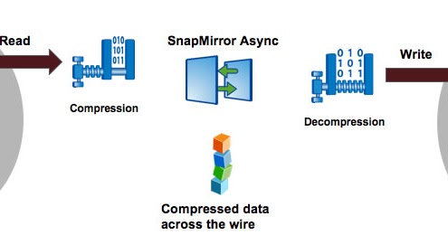 Netapp Snapmirror Configuration from Scratch - 7 Mode