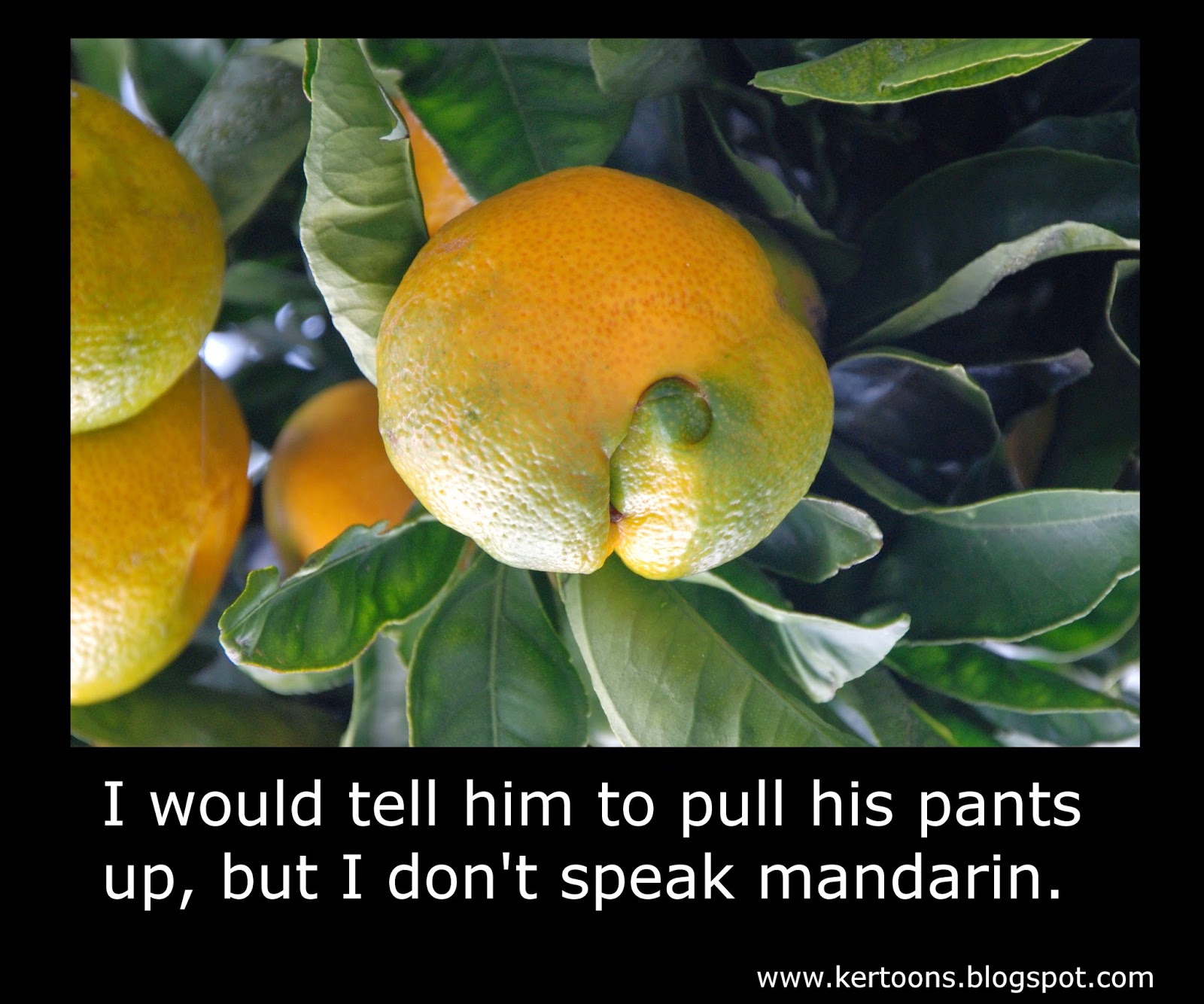 Kertoons: The Naked Mandarin