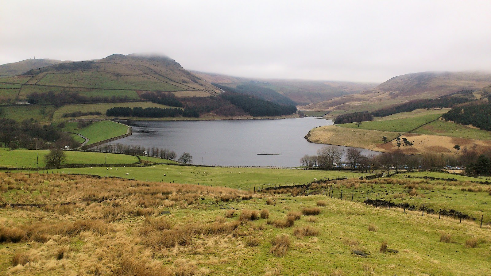 Should've Run Home Instead!: Bill O' Jacks and Pots & Pans