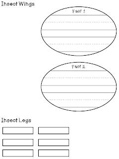 Kindergarten Schmindergarten: Insects Continued and another Freebie!