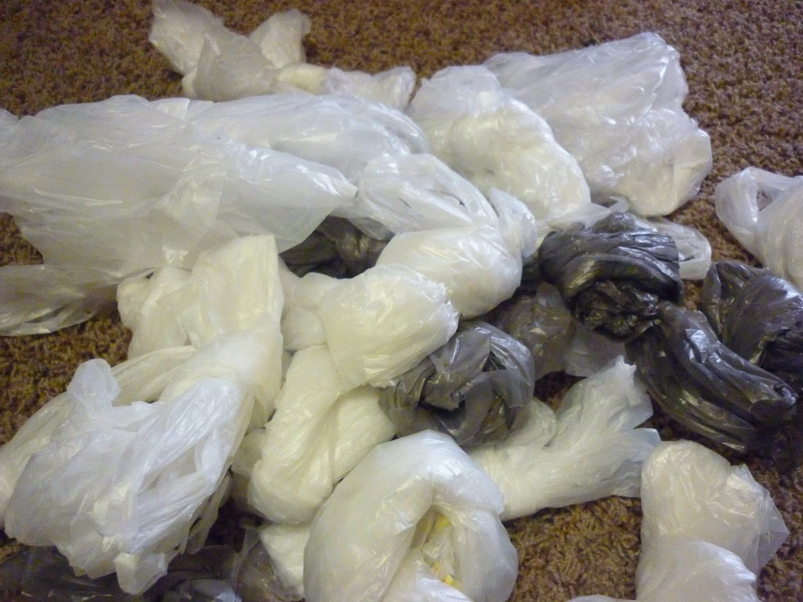 17079km-linnuntiet-way-too-many-plastic-bags