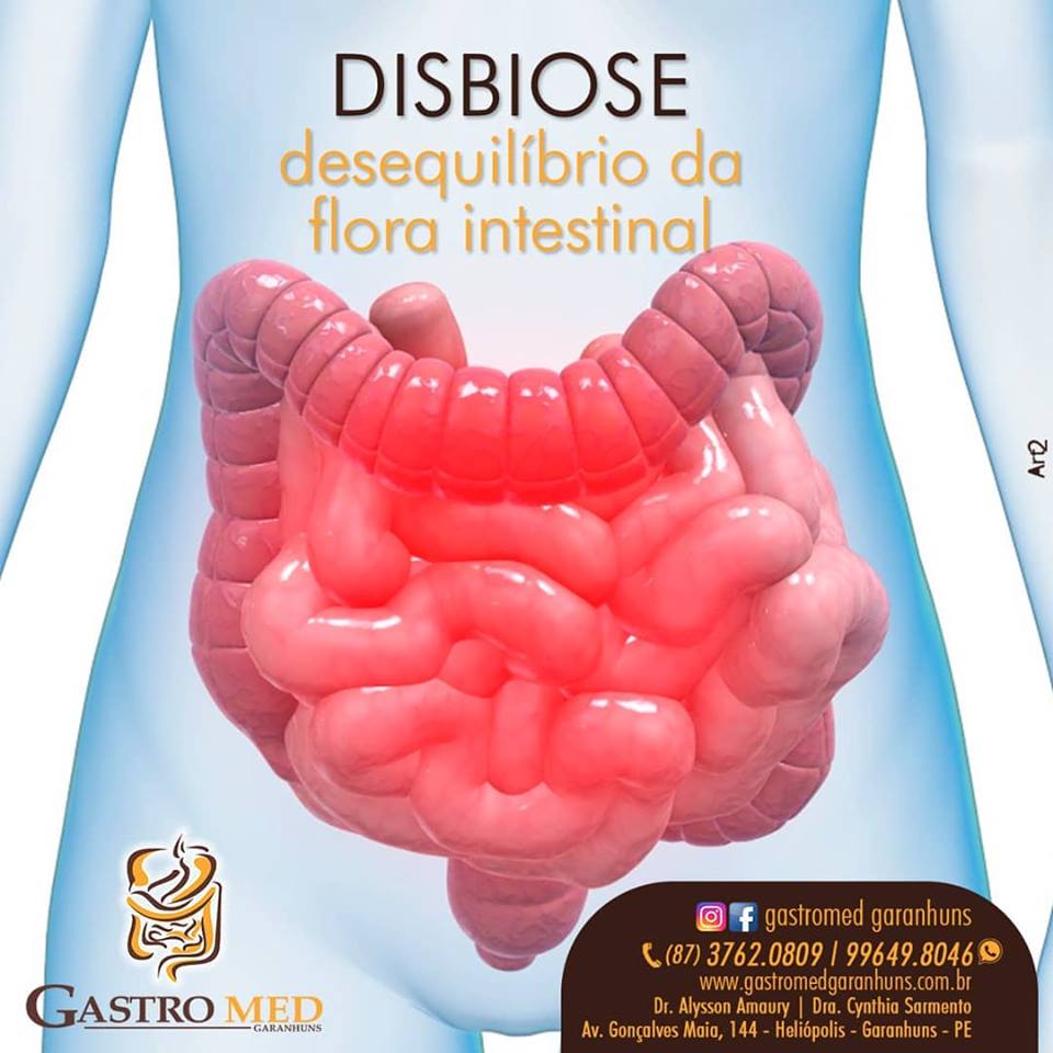 BLOG DO RONALDO CESAR : O que é Disbiose e qual a melhor forma de ...