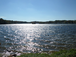 Mitten Tracks: Murphy Lake State Game Area, part one: Swaffer Rd. to ...