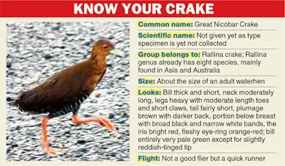 AkN Science: SPECIES OF THE MONTH: AUGUST 2012