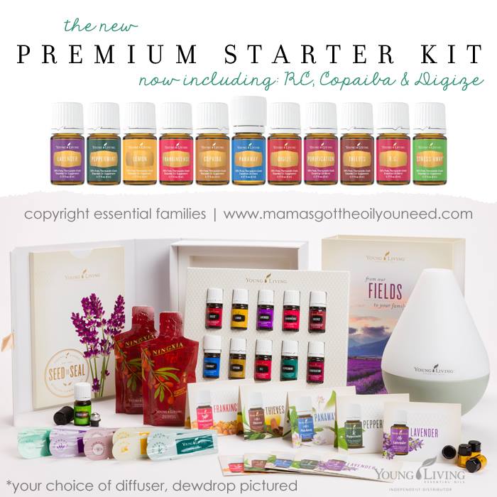 Cora Anne Designs: New Premium Starter Kit