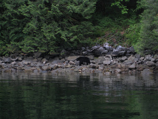 Sailing Adventures of s/v Talos IV: Princess Louisa Inlet and Malibu Rapids