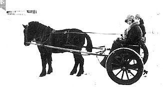 storybrookeripples: ox and dog blog: Bennett Buggy a.k.a. Anderson Cart