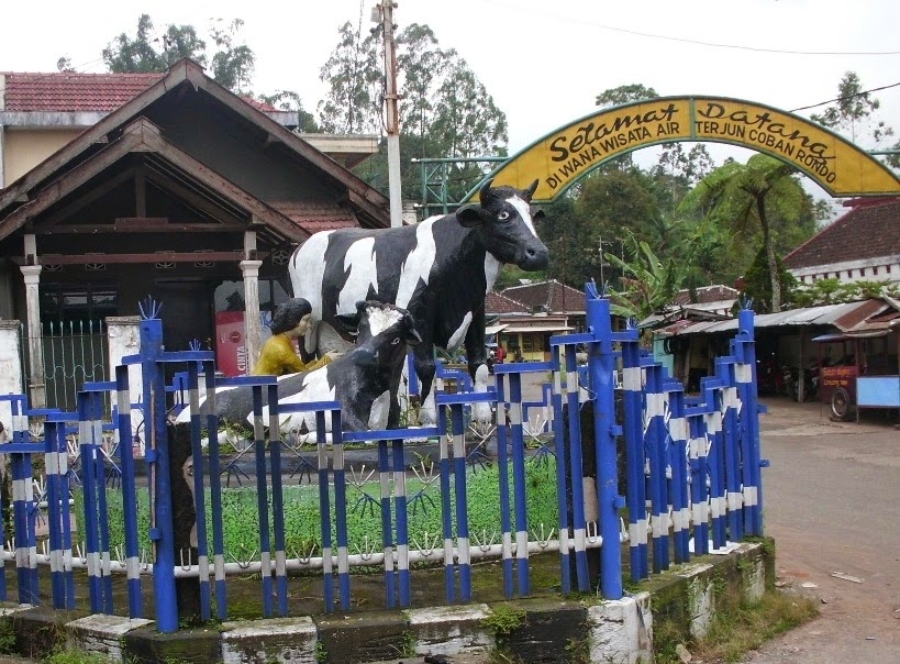 Amelia Khoidir's Blog: Pujon Kota sapi