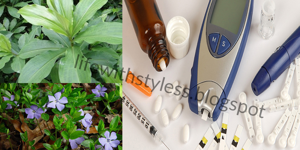 Medicinal plants used for the treatment of diabetes | Life With Styles