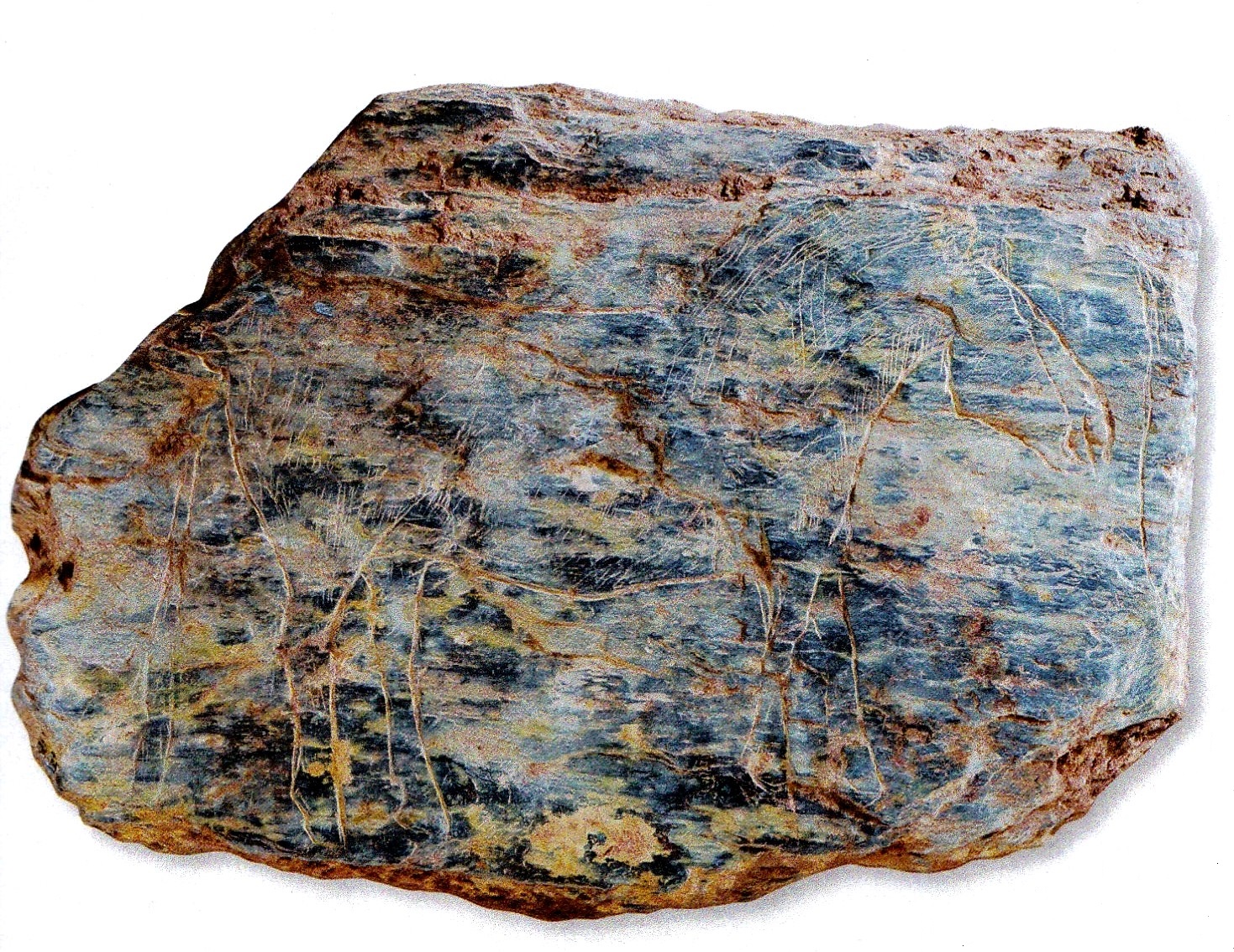 Rock Art Blog: NEW DISCOVERIES IN AZILIAN ART: