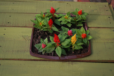 Firefly Stitches: Small Wooden Pallet Table