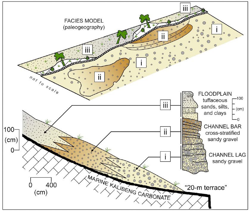Sciency Thoughts: Out of Africa(?)