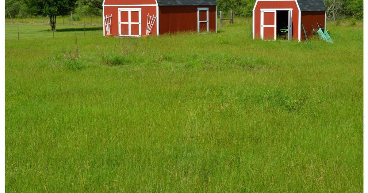 Two Men and a Little Farm: BACK OUT TO THE FARM AGAIN