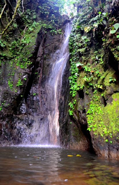Cughup Cukoh Ribang Gayau Padang Guci Hulu - Padangguci Onstar