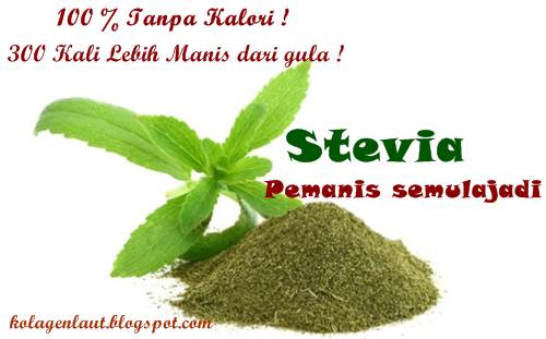 Shahkb Online: Whatsapp 017 930 6329: Khasiat Stevia Sebagai Pemanis ...