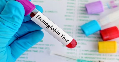 Kadar Hemoglobin : Berapa Nilai Normal Hemoglobin?
