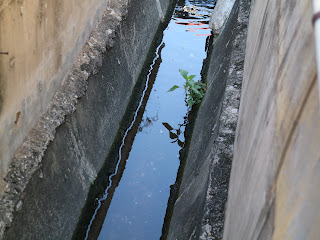 antara sejarah dan nostalgia: Ikan Ketutu