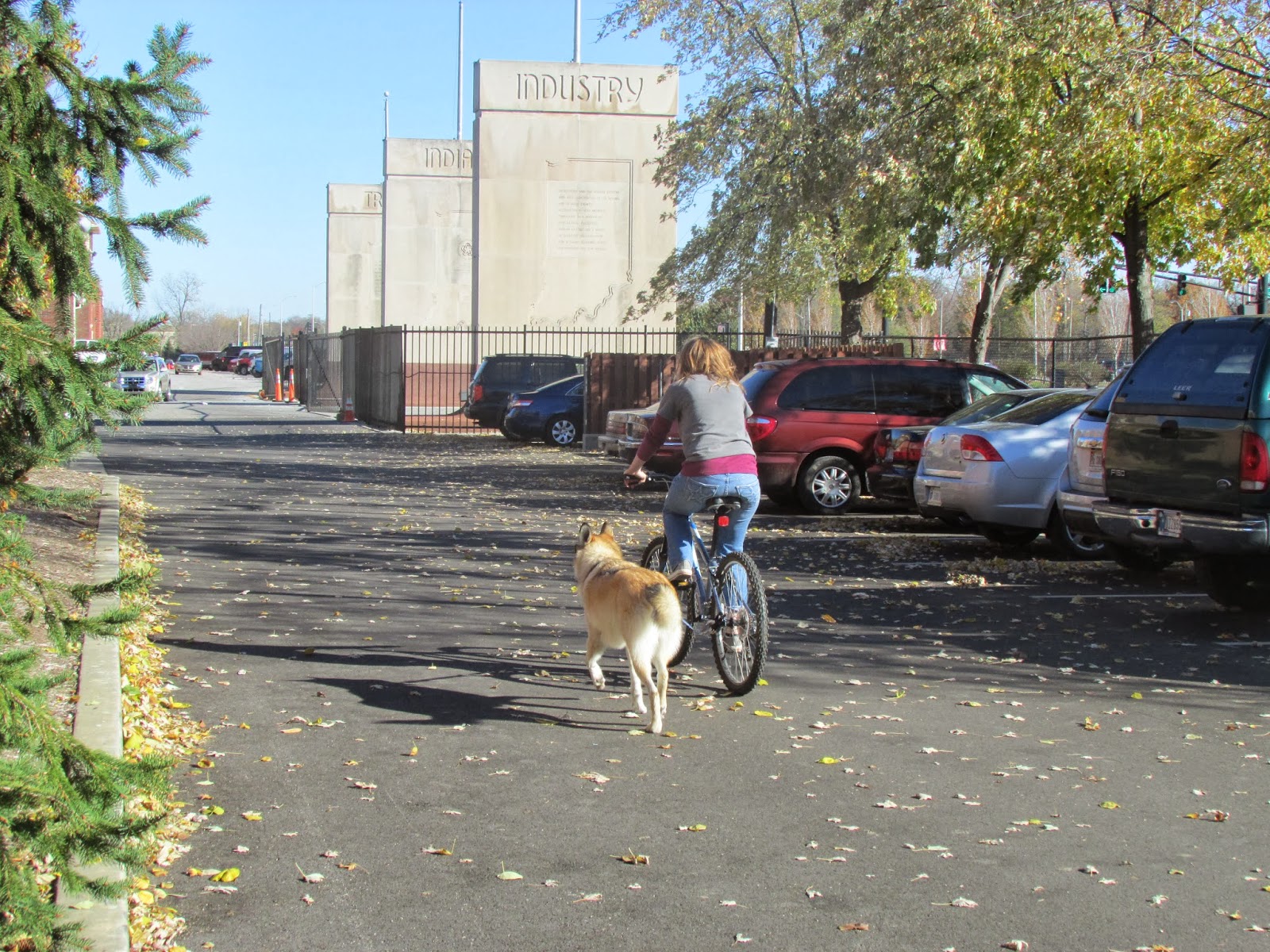 My Rotten Dogs: Dogger Jogger Review