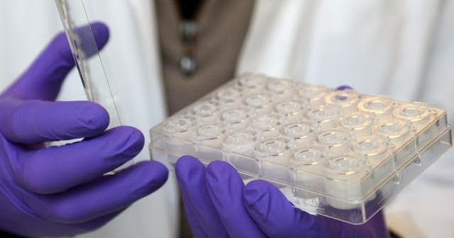 Saving Our Sons: German Factory Uses Infant Foreskin to Grow Human Skin