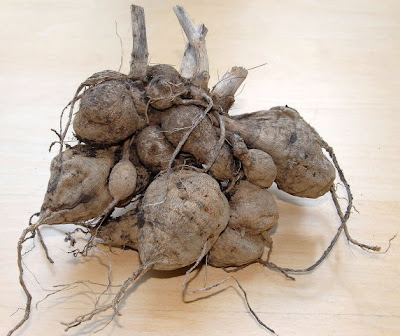 Tubers - Fruits And Vegetables