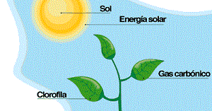 Transferencia de Energía