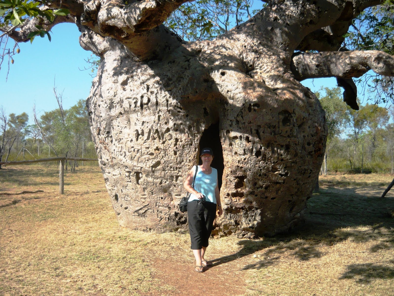 Postie and Sue: Boab Prison Tree